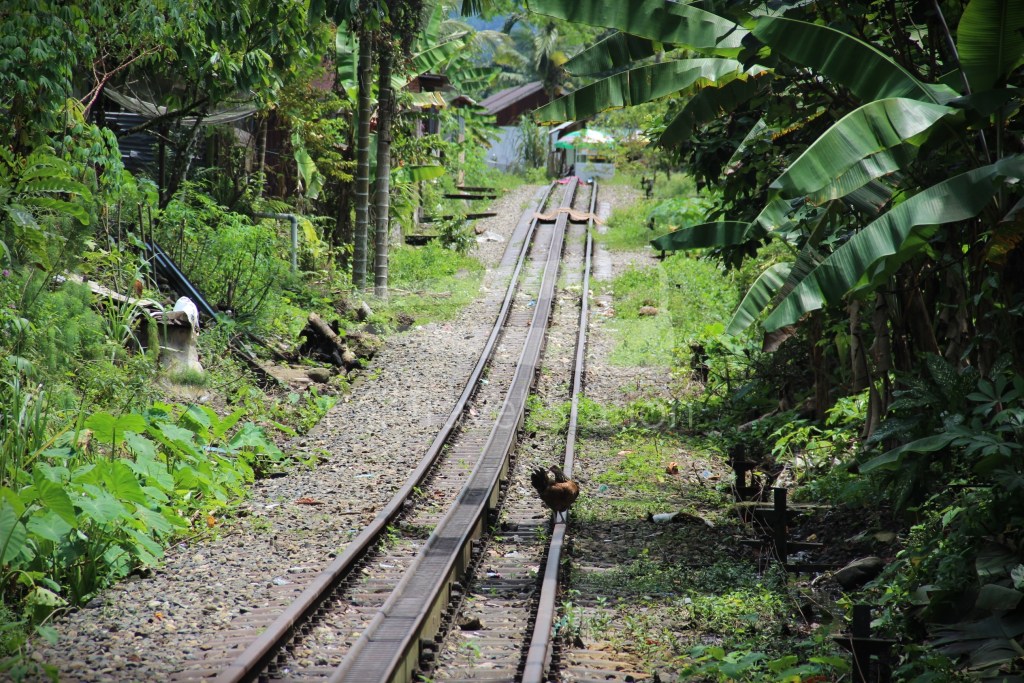 Kayu Tanam Exploration • Disused but Intact Rack-and-Pinion Railway ...